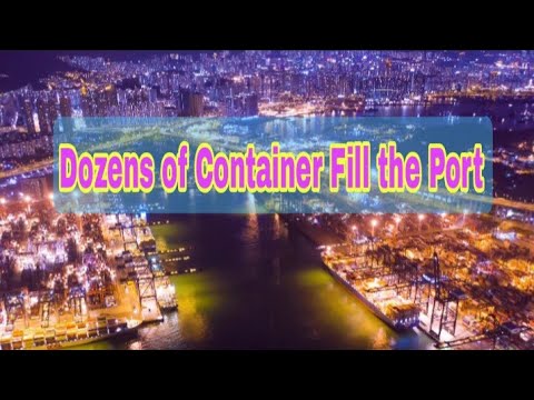 Dozens of containers fill the Port