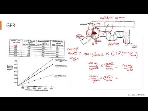 Review of GFR, Filtration, Secretion and Clearance