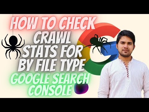 How to check Crawl Stats By file type in Google search console