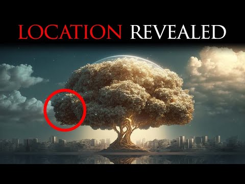 Details About The Tree Of Life Many Don't Know