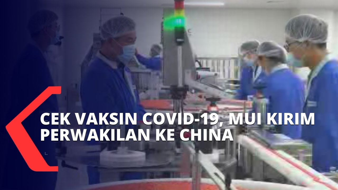 Cek Proses Pembuatan dan Bahan Vaksin Covid-19, MUI Kirim Perwakilan ke China