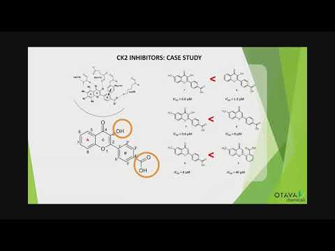 Human Protein Kinase CK2 Inhibitors: Discovering New Scaffolds