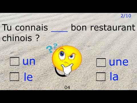 🇫🇷 A1-A2 | 10 FRENCH Grammar questions | definite & indefinite articles | masculine /feminine