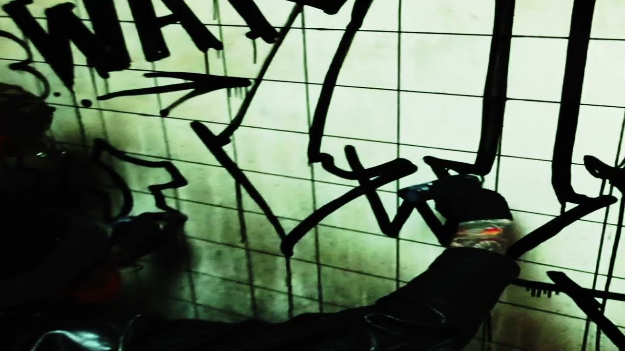 How Much Does 'BRUTTE LEZIONI' Make? | Earnings | Net Worth | Popnable