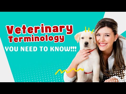 Understanding Common Veterinary Terminology