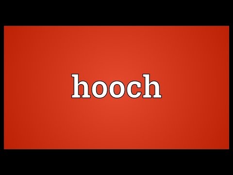 Hooch Meaning