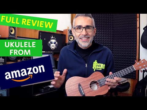 Amazon's Best Cheap Ukulele For Beginners - Donner Concert (Full Review)