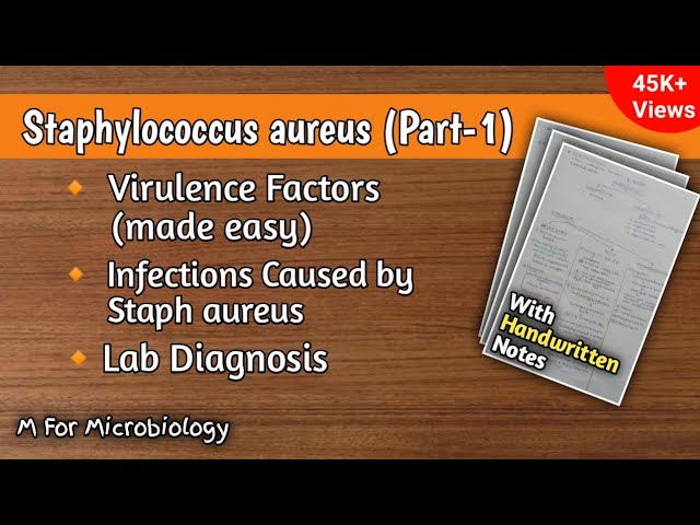 Understanding Staphylococcus aureus: Virulence Factors, Infections, and ...