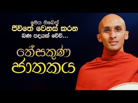 373. තේසකුණ ජාතකය | Thesakuna Jathakaya
