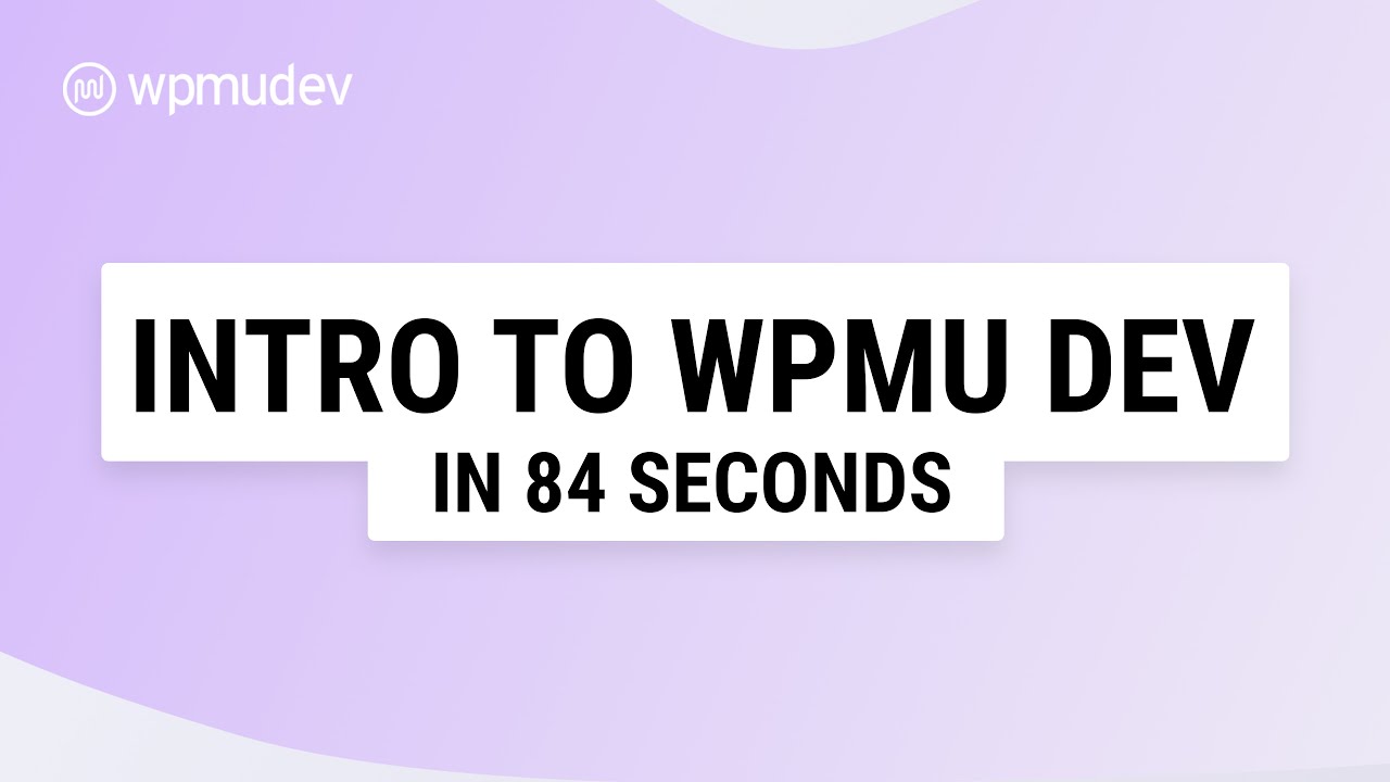 WPMU DEV - The Platform For Your WordPress Business