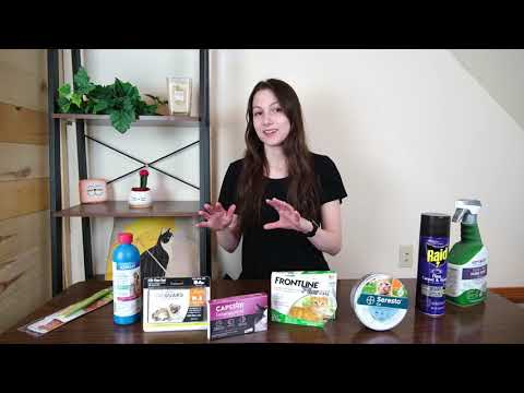 Novartis Capstar Flea Tablets for Dogs and Cats Review (We Tried It)