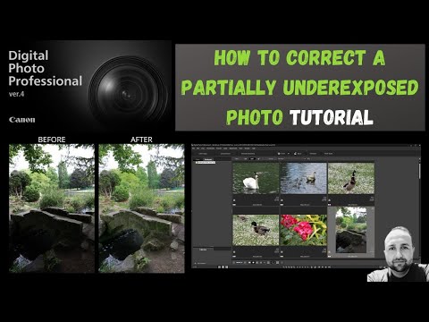 Correcting a partially underexposed photo | Canon DPP4 Tutorial| Digital Photography Professional 4|