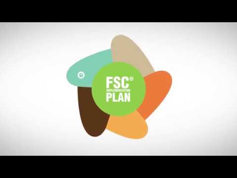 Certifying Small Forests