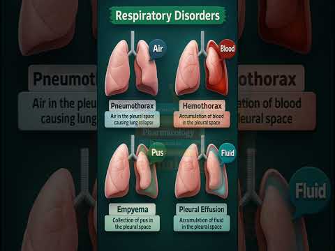 How Respiratory Disorders Actually Work #short #feed