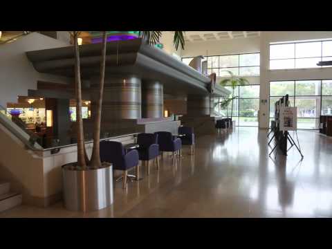 Theming in the Experience Economy - Cerritos Millennium Library