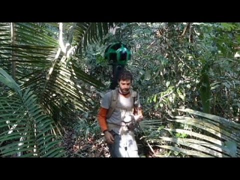 Google's new Street View allows viewers to explore Amazon jungle