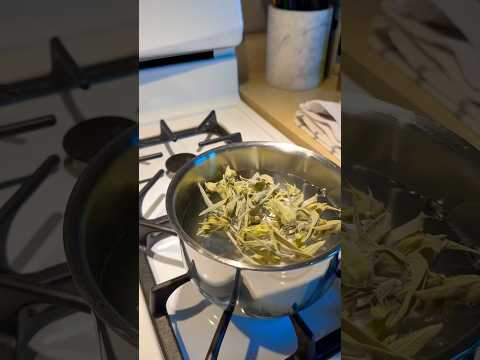 How to Prepare Greek Mountain Tea