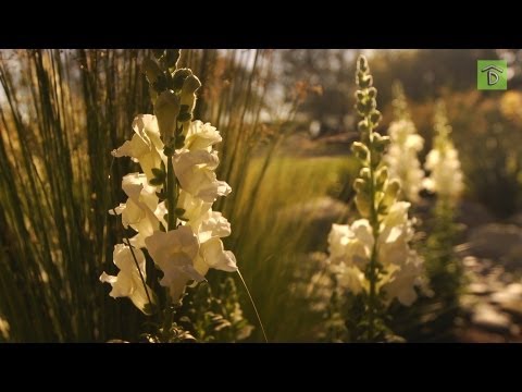 Gardens Of The Rich & Famous Garden Tour!