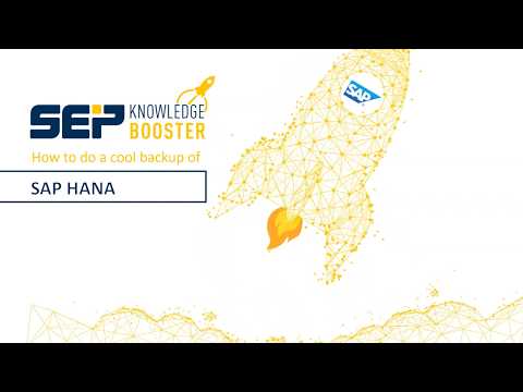 Backup of SAP HANA with SEP sesam (Lang_EN)