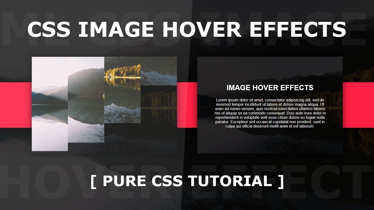 Simple CSS Image Hover Effects | Split Image On Hover