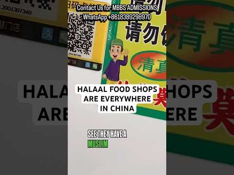 IS HALAL FOOD REALLY AVAILABLE IN CHINA FOR MUSLIM STUDENTS?