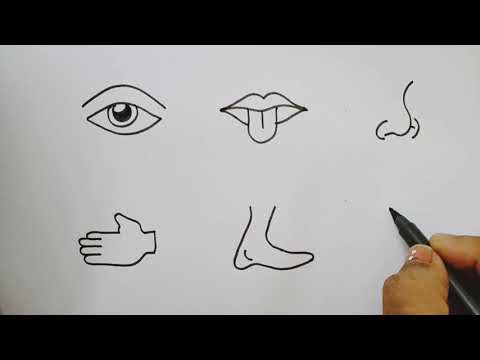 How to draw body parts easily for children.