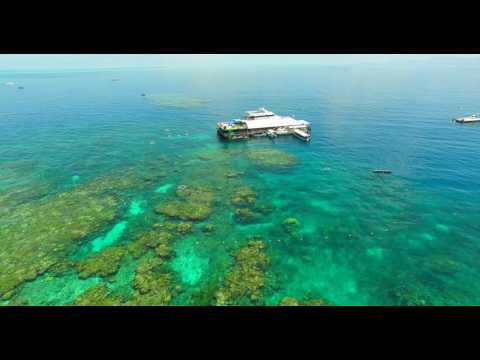 Reef Magic Cruises - Marine World, Great Barrier Reef, Cairns Queensland