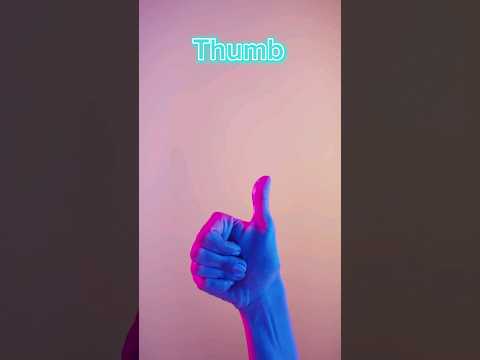 THUMB - MEDICAL DEFINITION | Medical Consecutive Interpreting