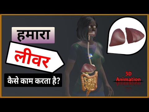 हमारा लीवर कैसे काम करता है? | How does our Liver work? | 3D Animation 🔥🔥🔥