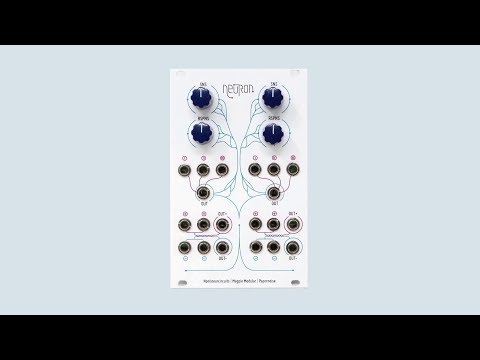 Nonlinearcircuits NEURON - Magpie Modular repanel for Non | Reverb