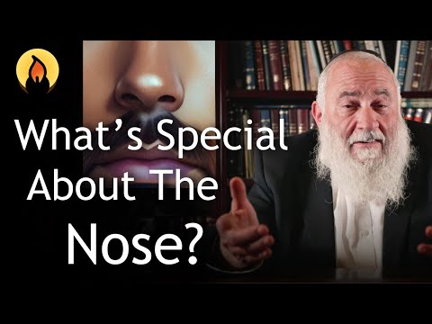Why we say "God bless you" after someone sneezes