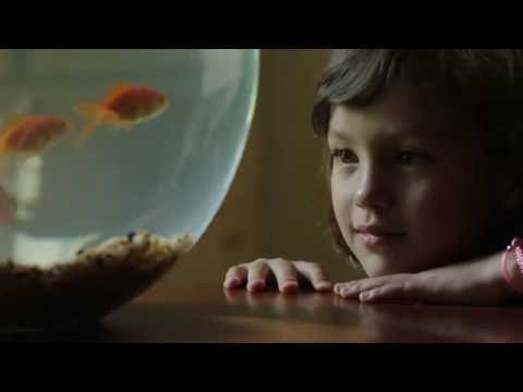 CommBank Property App