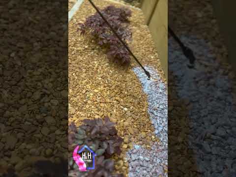 Best Landscape Rock Adhesive #landscape #newage #diy