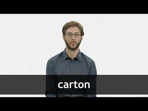 English Translation of “CARTON” | Collins French-English Dictionary