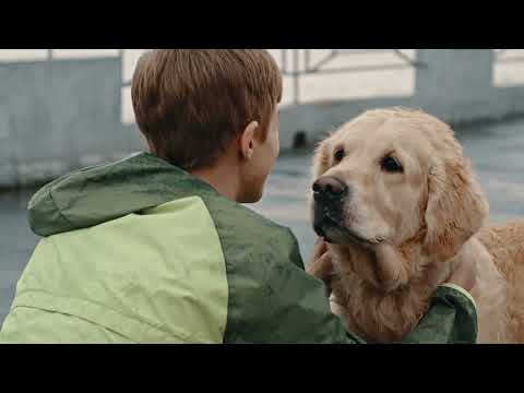 Hilton Herbs | Mobility Support : Articulations et muscles du chien