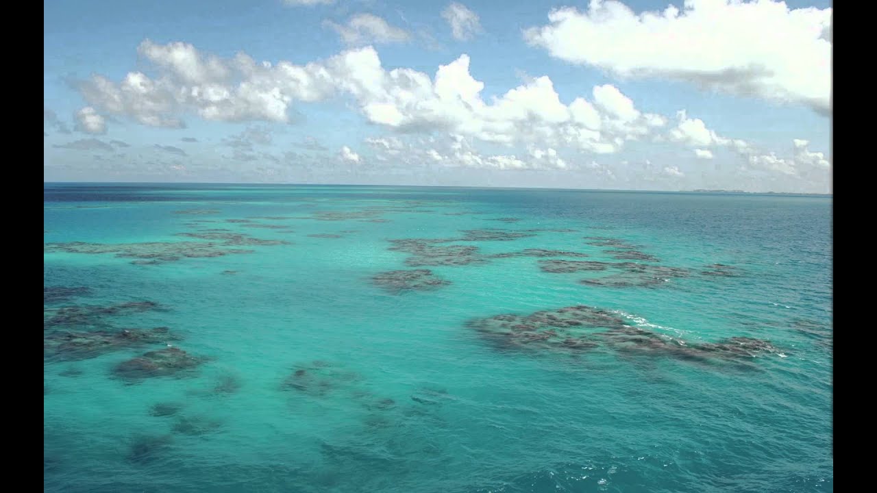 Fake Coins & How To Avoid Fakes