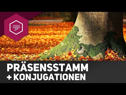 Präsensstamm + Konjugationen - Wortstamm (1)