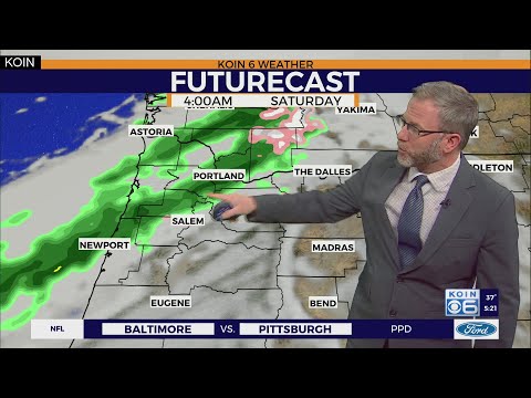 Weather Forecast: Morning Fog