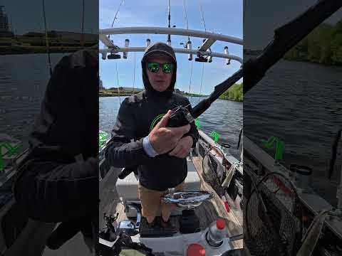This sabiki rod is a game changer!