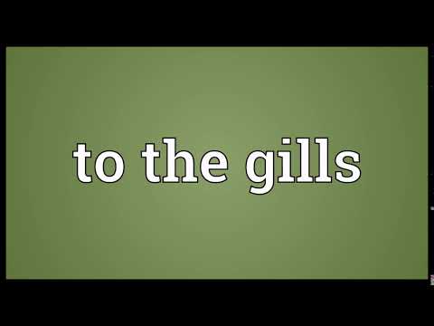 To the gills Meaning | Wordogram