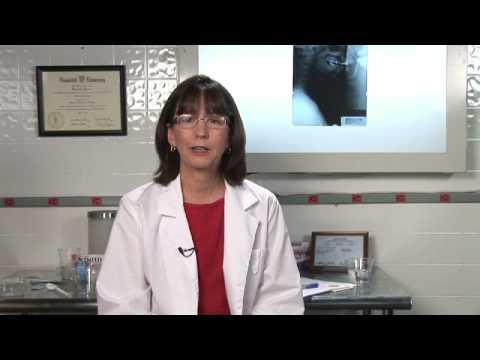 Family Health : What Happens if You Swallow Gum?