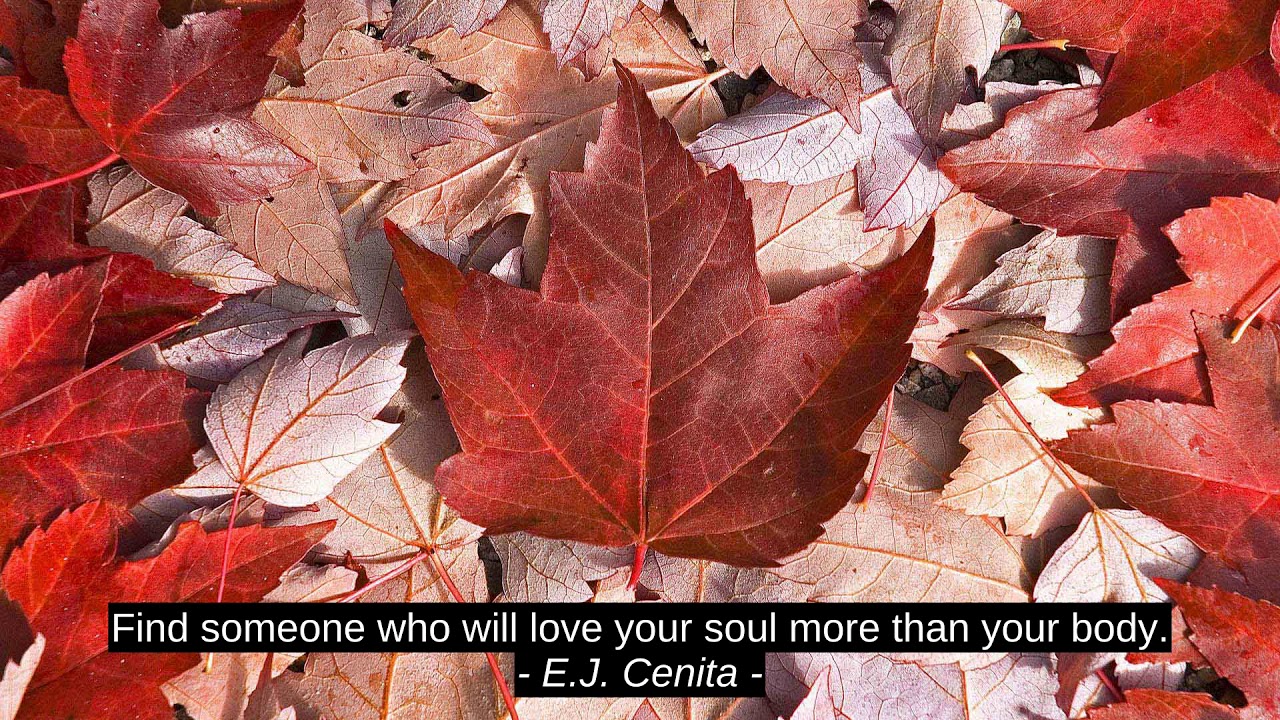 Wayne W. Dyer 10 Top Quotes