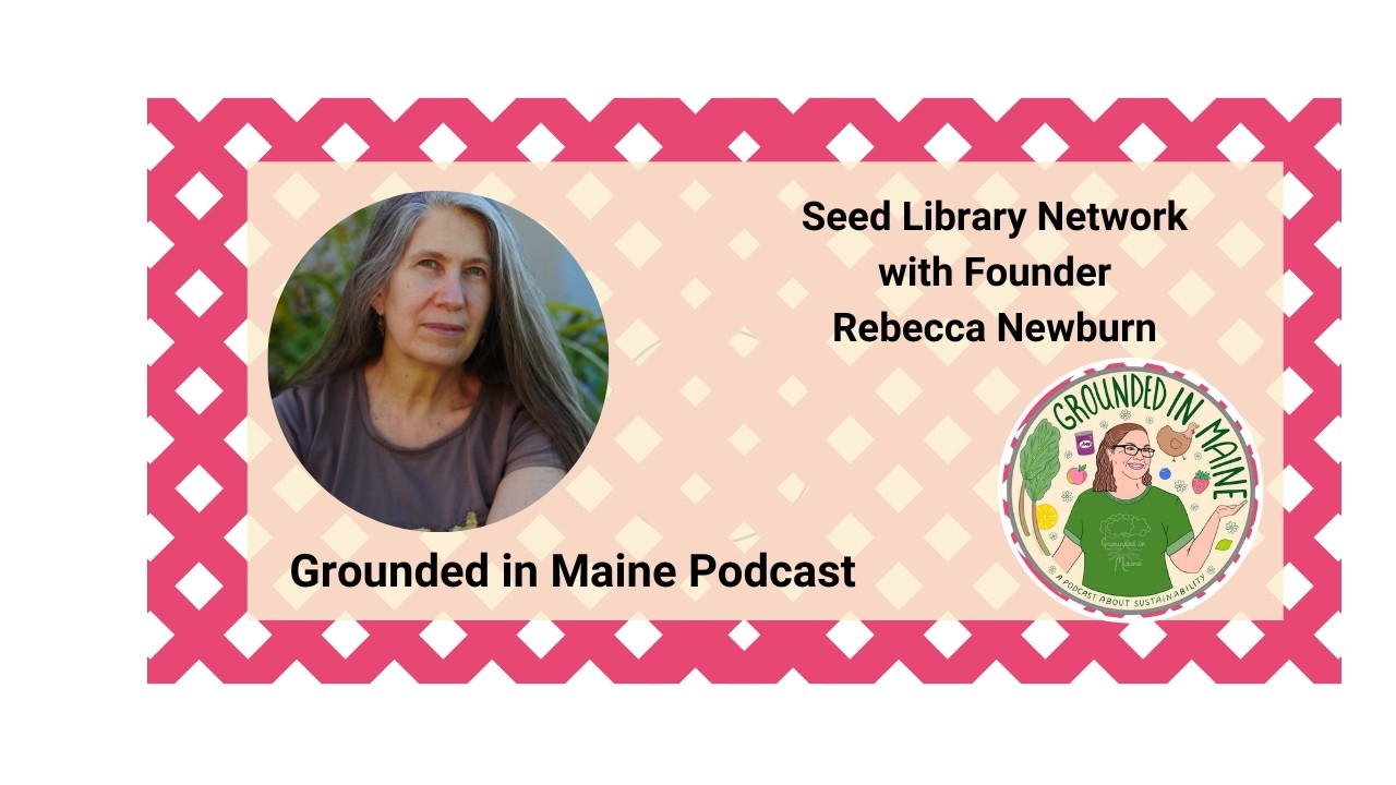 All About Seed Libraries with Rebecca Newburn - Grounded In Maine with Amy Bolduc