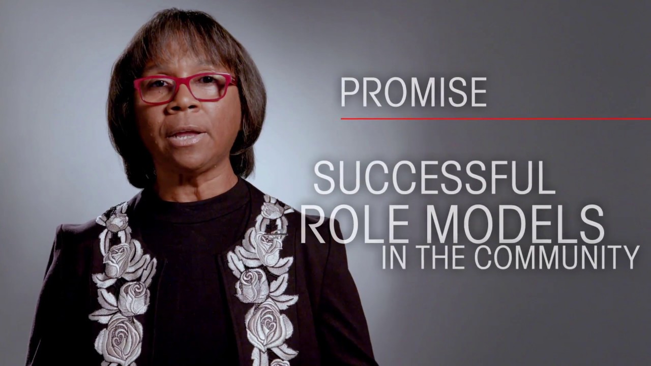 The Palomar Promise