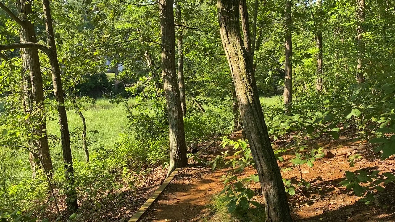 Spa Creek Headwaters