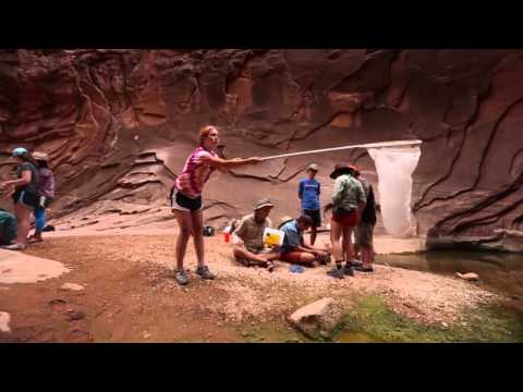 USGS Citizen Science Video- Kate Aitchison, MFA Printmaking, 2016 ...