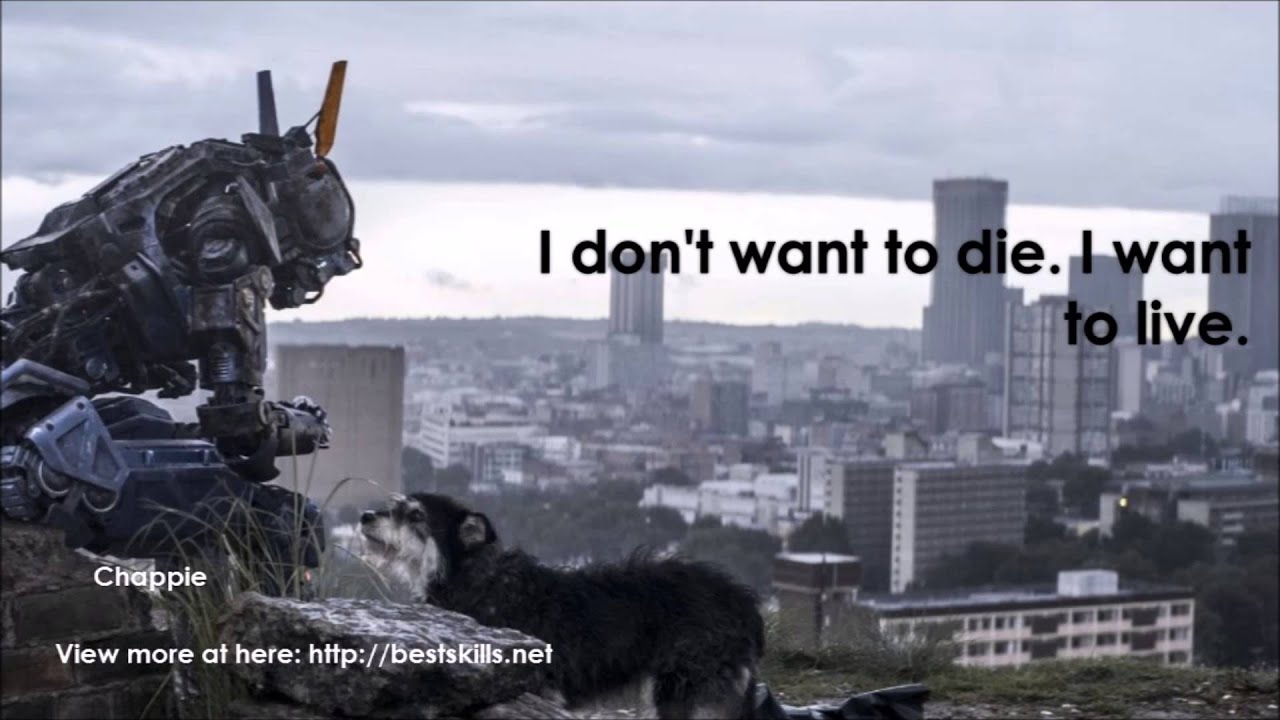 Top 20 quotes from  Chappie (2015)