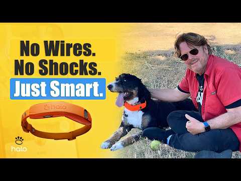 Halo Collar 4 Review: GPS Tracking, Virtual Fence, and No-Shock Training