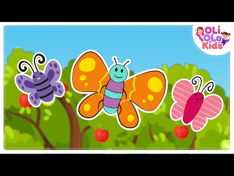 Kupu kupu yang Lucu - Lagu Anak Indonesia | Oli Ola Kids