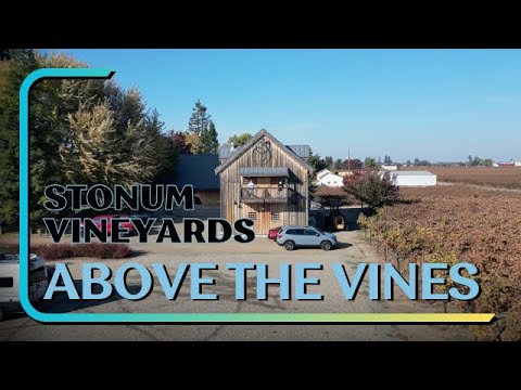 Stonum Vineyards | Above The Vines | Lodi WIne Region 2023 4k